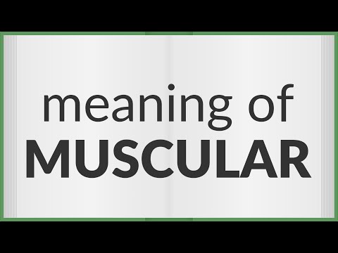 Muscular | meaning of Muscular