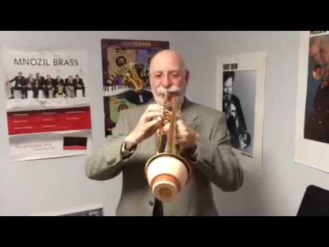 Warburton Top Ronald Romm Bb iMuso