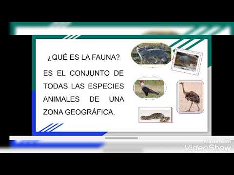 Fauna de Córdoba
