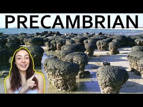 Precambrian Eon- Geologic & Biological Evolution 4 Billion Years Ago | GEO GIRL