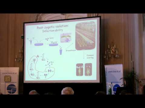 Speciation 2010: Tatiana Giraud - Cryptic species and evolution of reproductive isolation