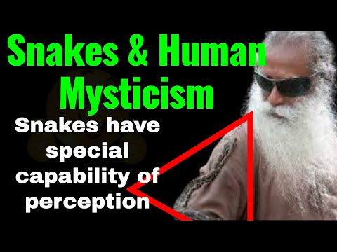 Significance Of Snakes And Human Mysticism - Sadhguru  [NEW] 2020
