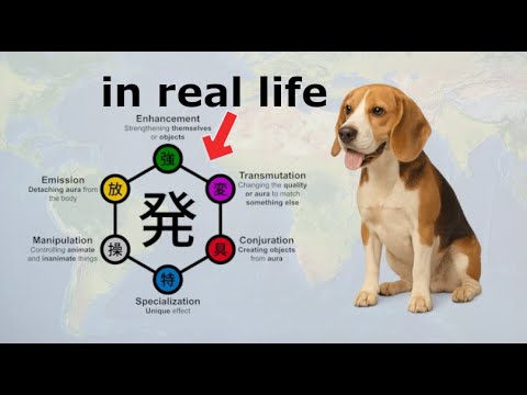 Wat if suddenly nen existed in real life