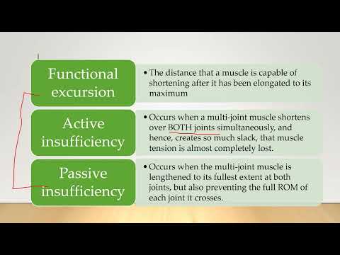 Mastering ROM Techniques: PROM, AROM, AAROM & Muscle Insufficiency Explained