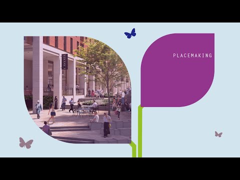 Local Plan Update: Place Making Topic