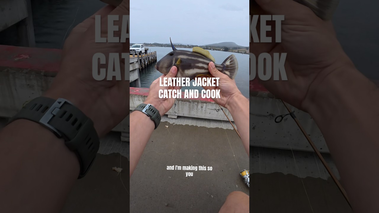 Don’t make this mistake!! #fyp #catchandcook #leatherjacket #fishing #saltwaterfishing #fishingtips
