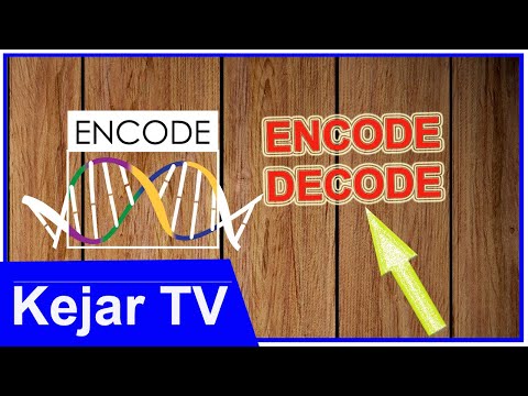 Gampang Encode dan Decode Pakai Web Ini