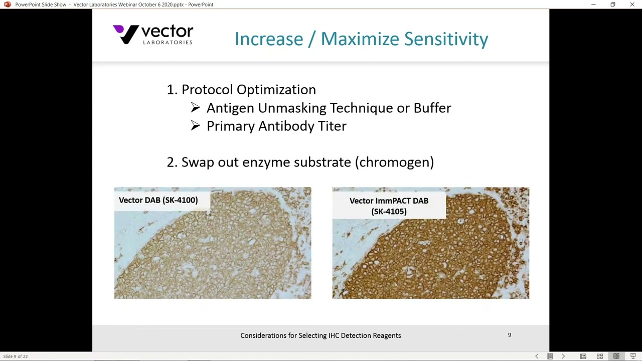 Considerations for selecting IHC detection reagents