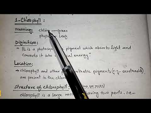Chlorophyll || Meaning Definition Location || Structure & Types || In Urdu Hindi ||