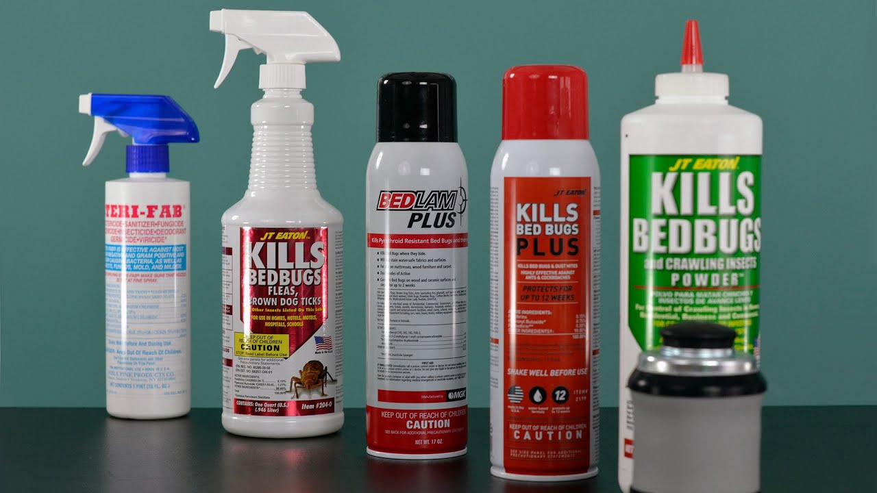 Professional Bed Bug Kit Review