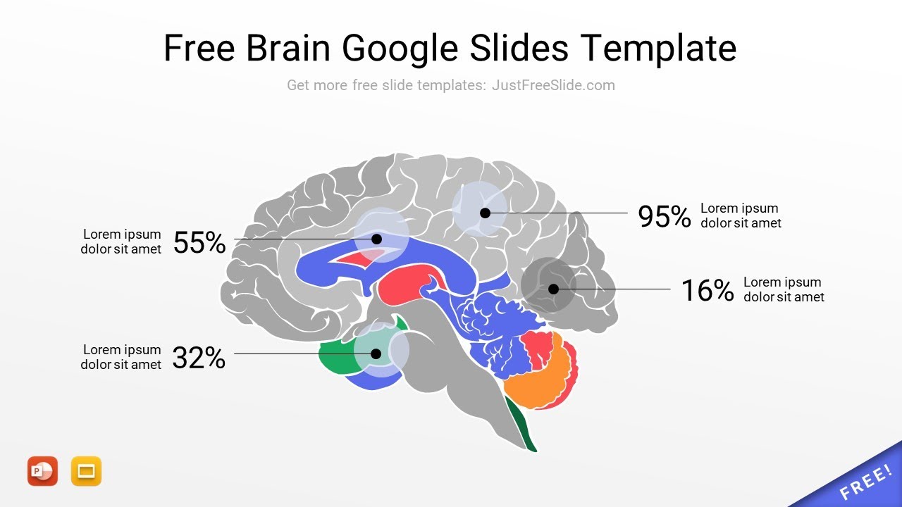 Free Brain Google Slides Template by justfreeslide