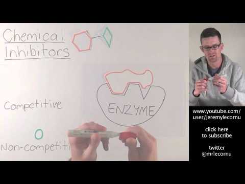 Enzyme Inhibition — Overview & Types - Expii