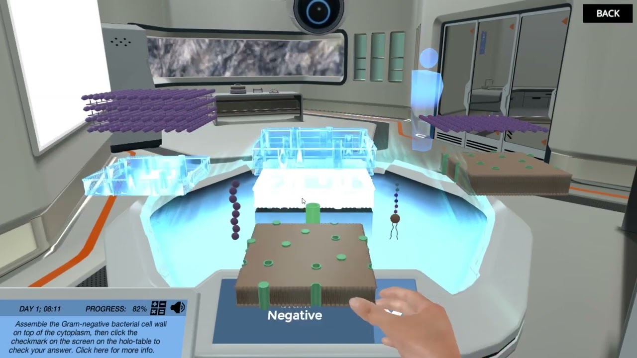Building Gram Positive and Gram Negative Cell Walls | Virtual Lab