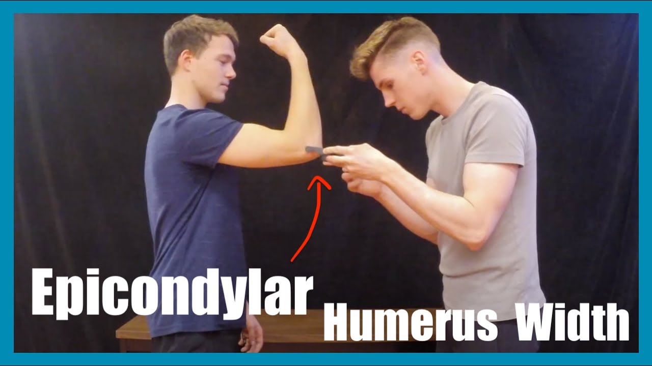 Epicondylar Humerus Width (Breadth) Measurement