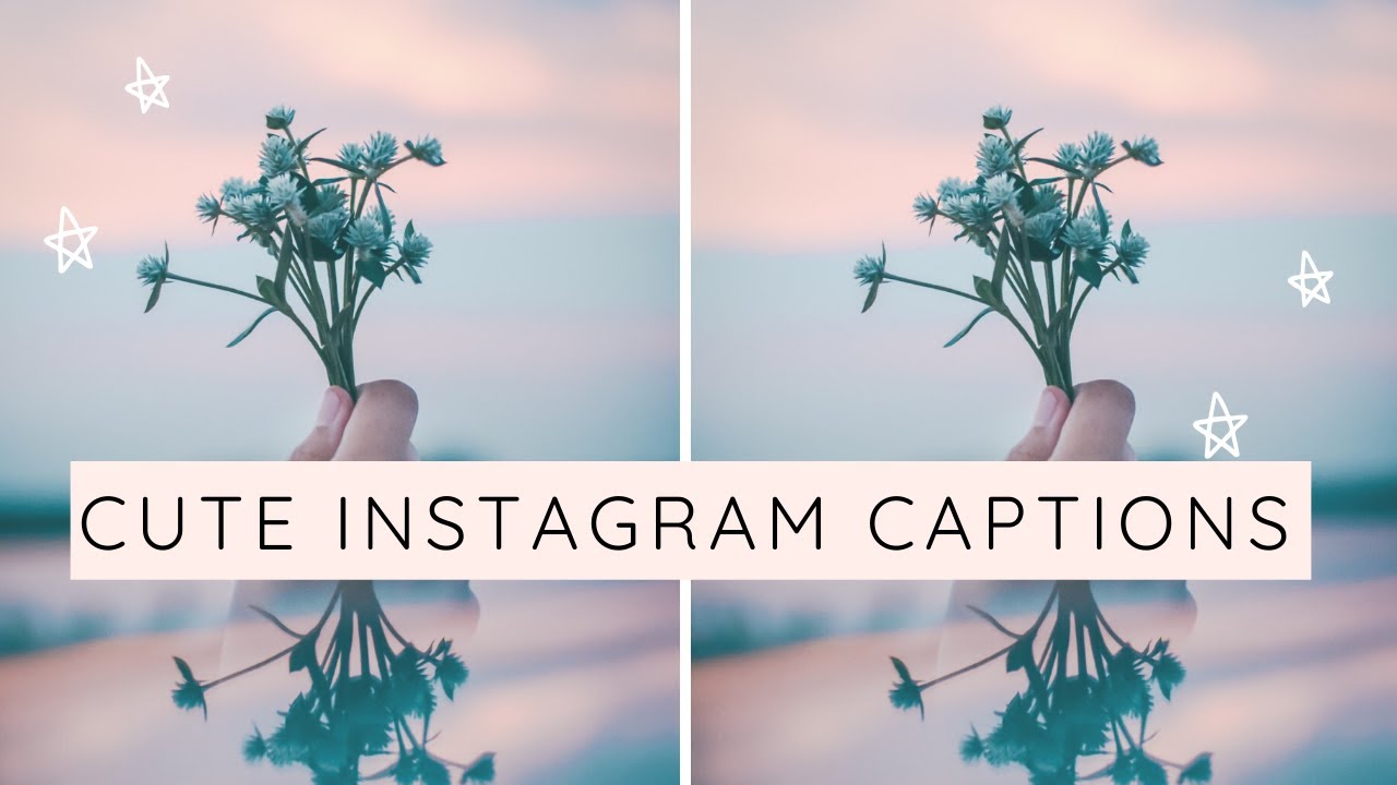 50 + Cute Instagram Captions | Cute Captions for Instagram