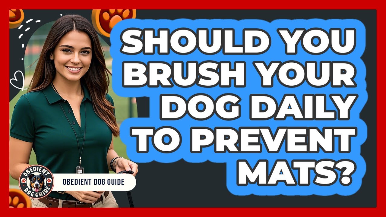 Should You Brush Your Dog Daily To Prevent Mats?