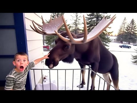 Dangerous Animals Caught Being Friendly