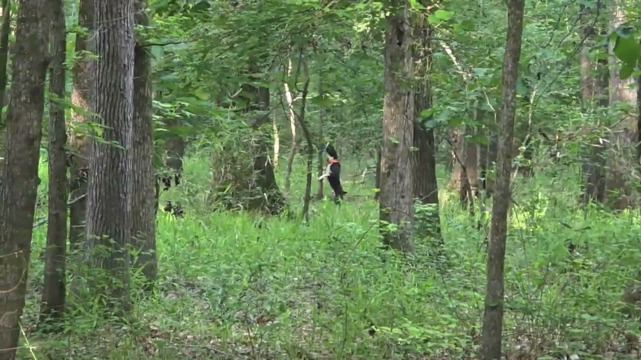 Opening day Squirrel hunt 2026 *sorry about the video quality*