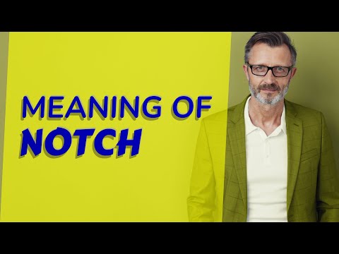 Notch | Meaning of notch
