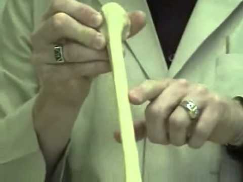 The Humerus
