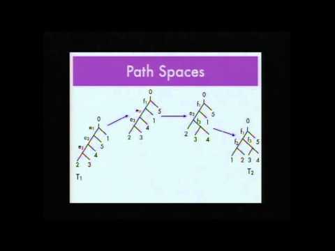 Distance and mean in the Space of Phylogenetic Trees