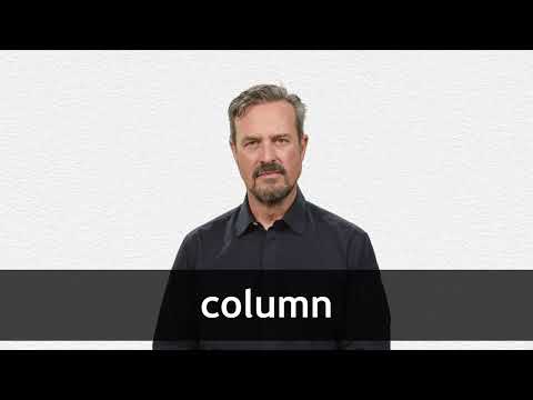 COLUMN definition and meaning | Collins English Dictionary