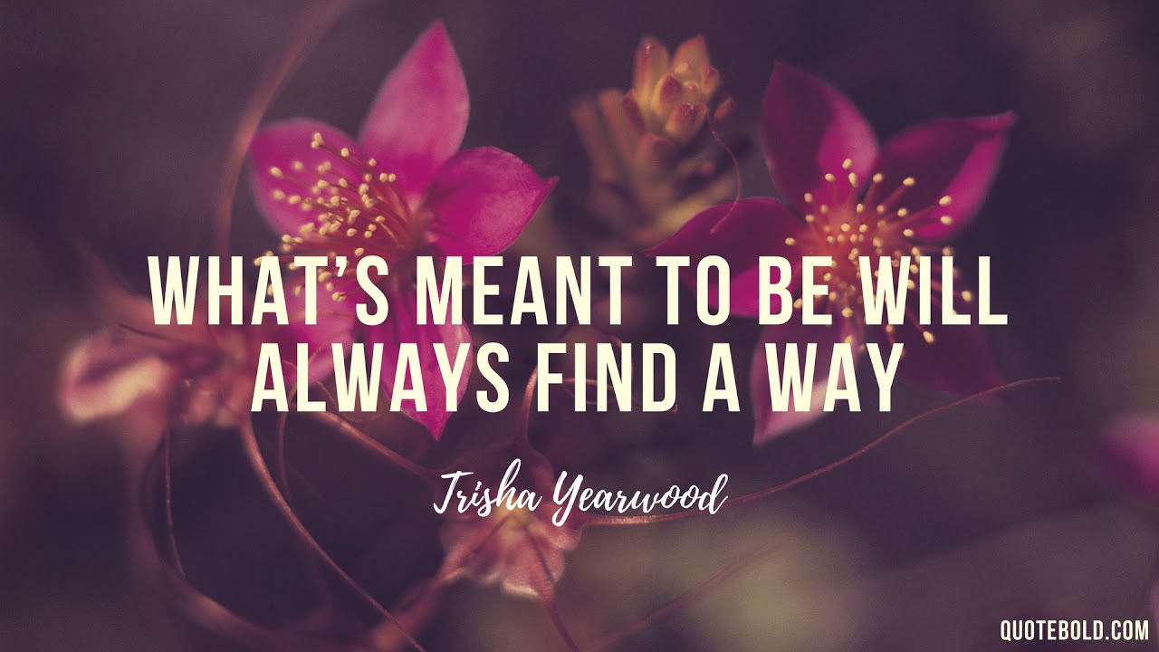 20 Beautiful Love Quotes with Images