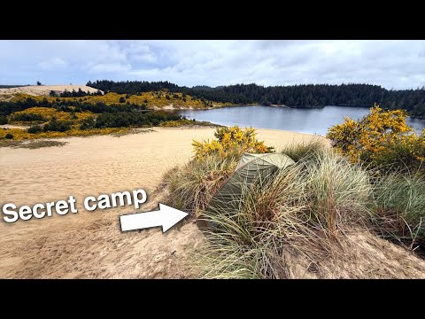 Camping In Coastal Sand Dune Forest