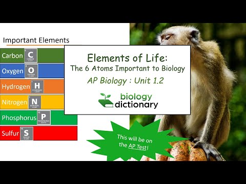 Elements of Life: The 6 Atoms Important to Biology | AP Biology 1.2