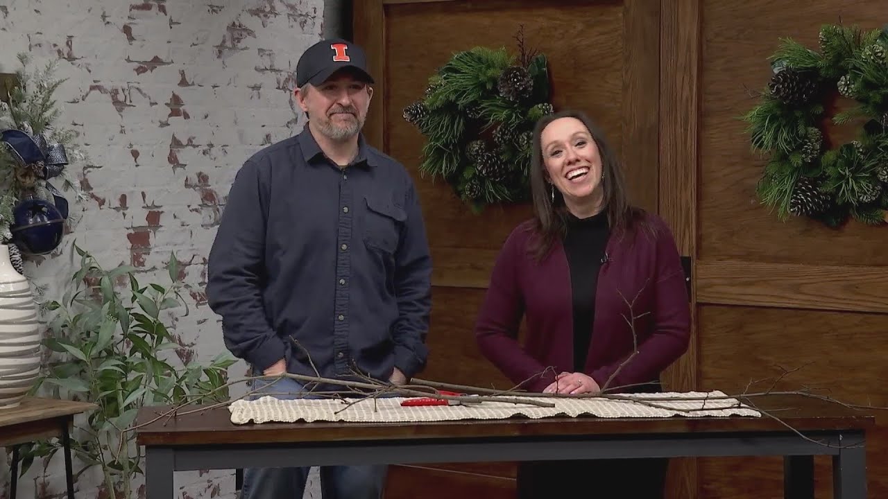 Tips For Proper Tree Pruning from an Expert