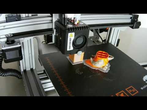 D12 two color printing