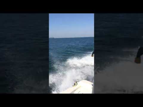 98 bayliner trophy 1703