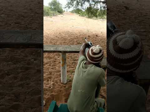 Nambian tracker trying my 375 H&H