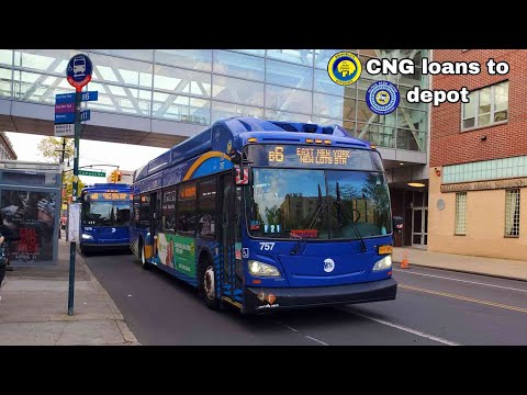 NYCT Bus: C40LFs and XN40s on the B3, B6 and B36 bus routes