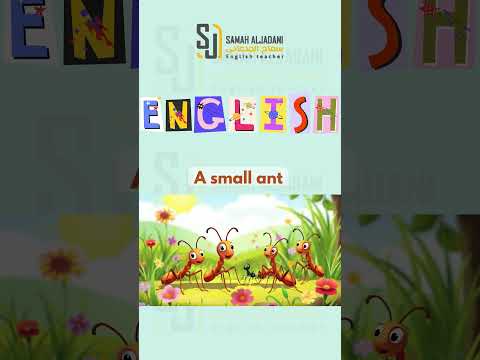 Learn to Read | Short reading for kids | Ant an ant