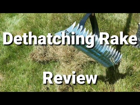 Thatch Rake Review. Power rake or Thatch Rake? De-thatching your lawn?