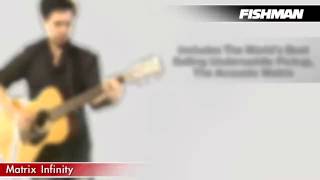 Fishman Matrix Infinity Pickup and Preamp System - What To Know & Where ...