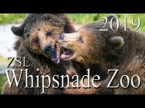 ZSL Whipsnade Zoo