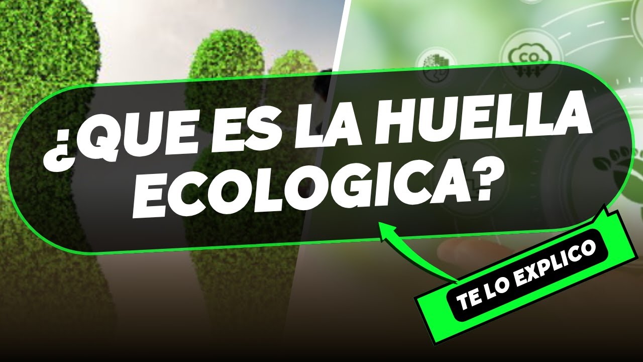 ¿Qué es la Huella Ecológica? Explicación Fácil en minutos