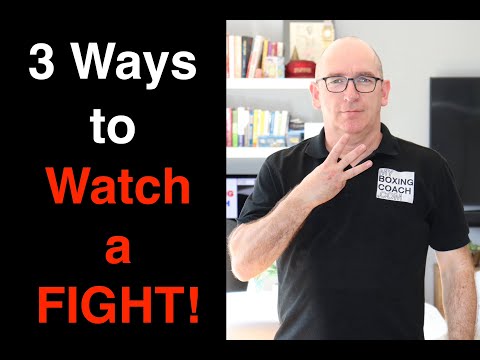 3 Ways to Watch a Fight