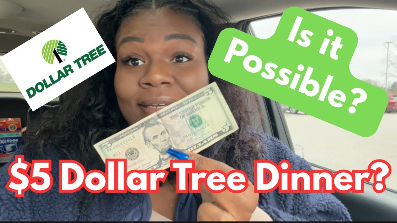 $5 Dollar Tree Dinner for 4 People?! Is it Possible? Budget Family Dinners 