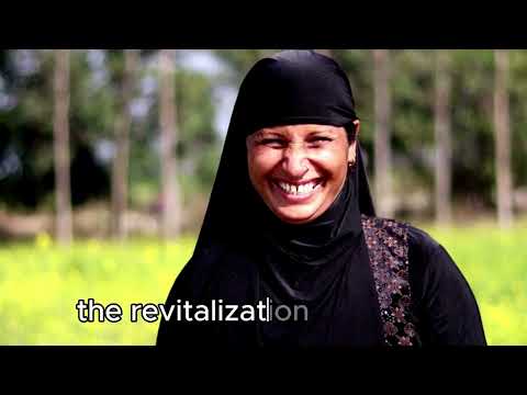 The Arabization Of North Africa