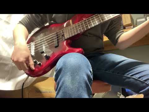 Heartfield DR Series DR-5 5-string Bass Aguilar Preamp MIJ | Reverb