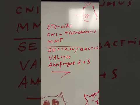 Most Important Drugs Post Kidney Transplant #shorts #tacrolimus #prednisone #mmf