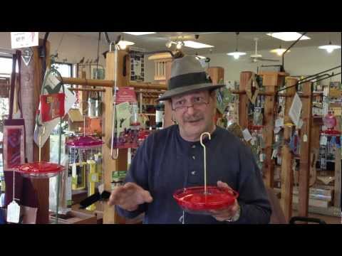 Wild Bird Store/ Hummingbird Feeders, Flowers and Nectar