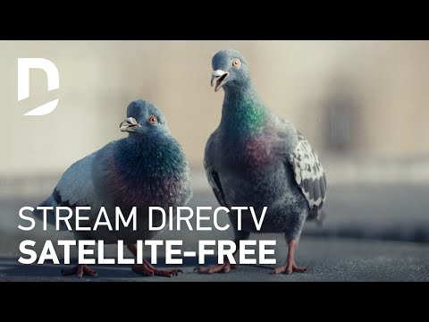 DirecTV Commercial Has Pigeons, Too – And Is that Steve Buscemi’s Voice ...