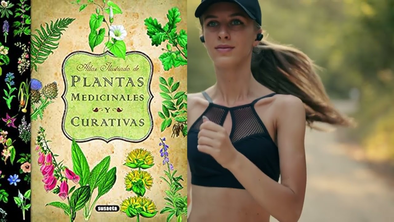Plantas Medicinales Y Curativas (Atlas Ilustrado)