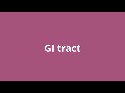 what is the meaning of GI tract