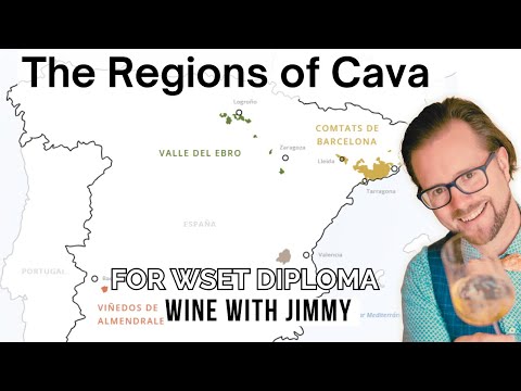 Unveiling the Secrets of Spanish Sparkling Wine: A Deep Dive into Cava Regions for WSET Level 4