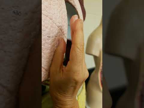 Serous Membranes in the Ventral Body Cavity